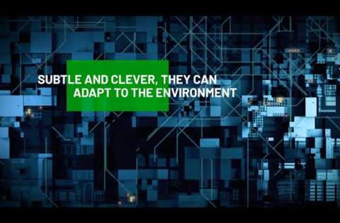 Company | Prima Electro