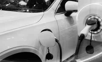 Company | Prima Electro