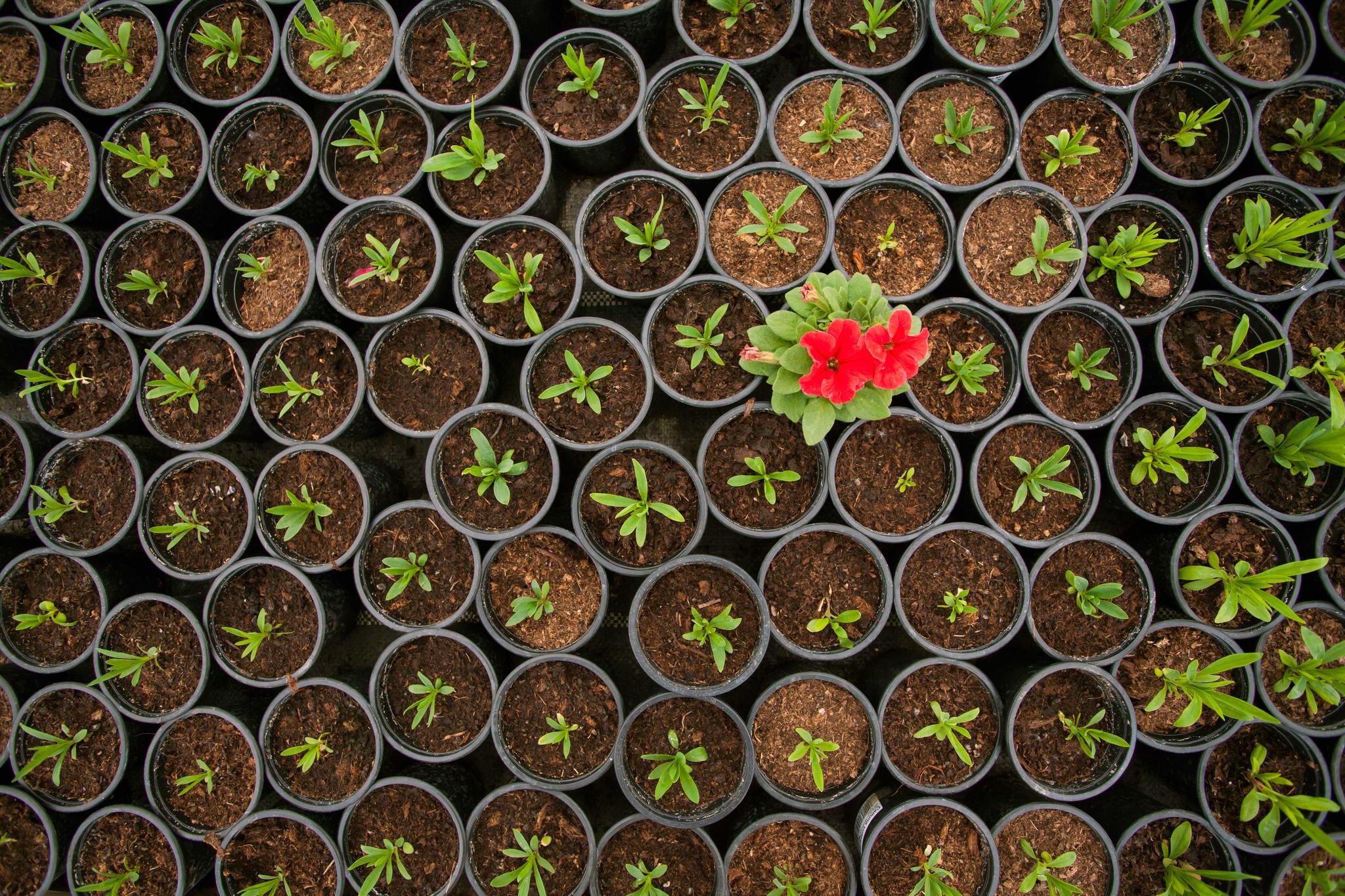 Our Values | Prima Electro